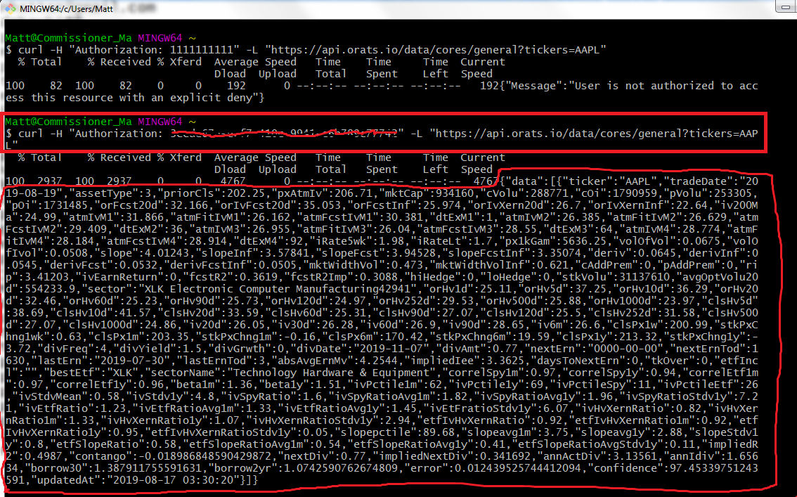 Beginners Guide to the ORATS Data API